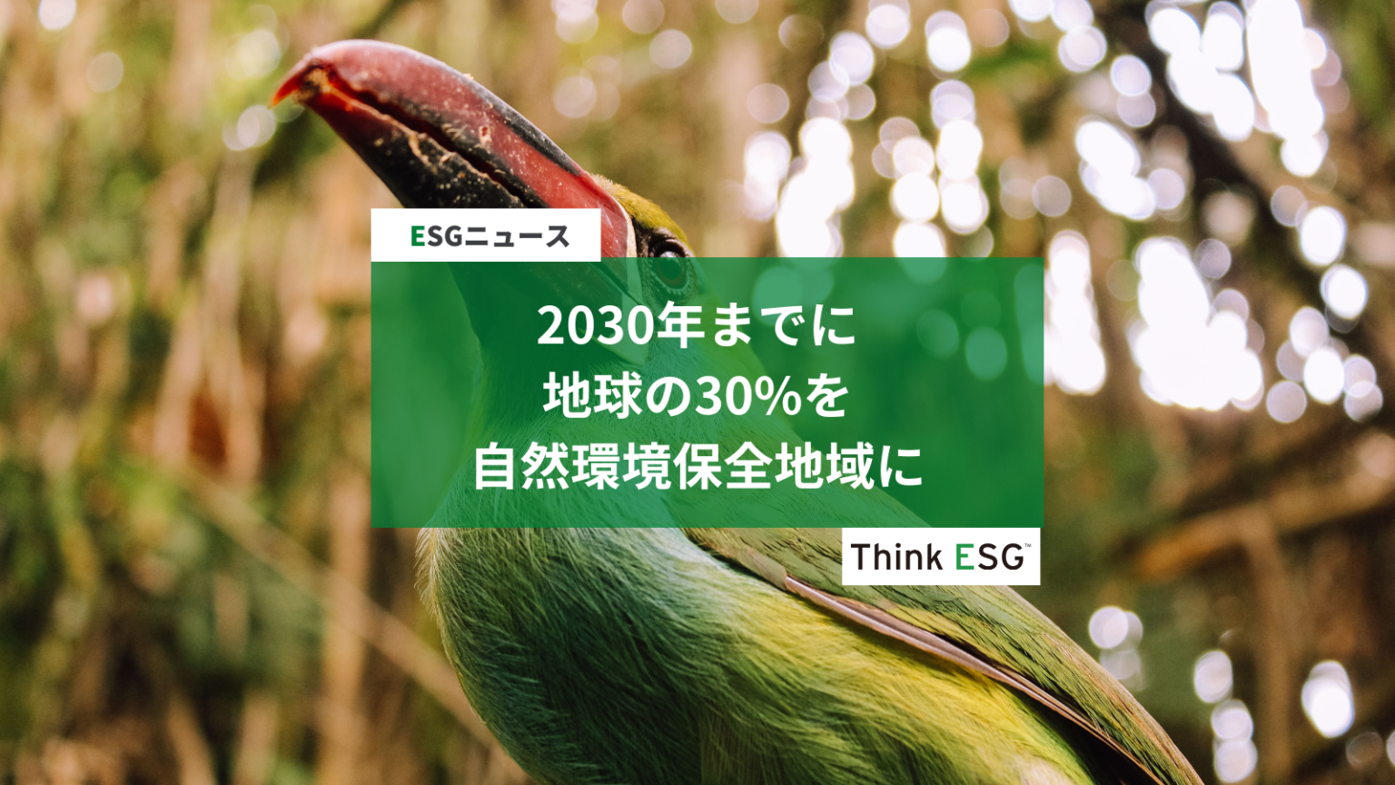 ファッションブランド30社のサステナビリティ・ランキング | | ThinkESG